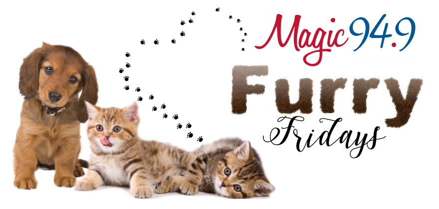 Furry Fridays! - Magic 94.9